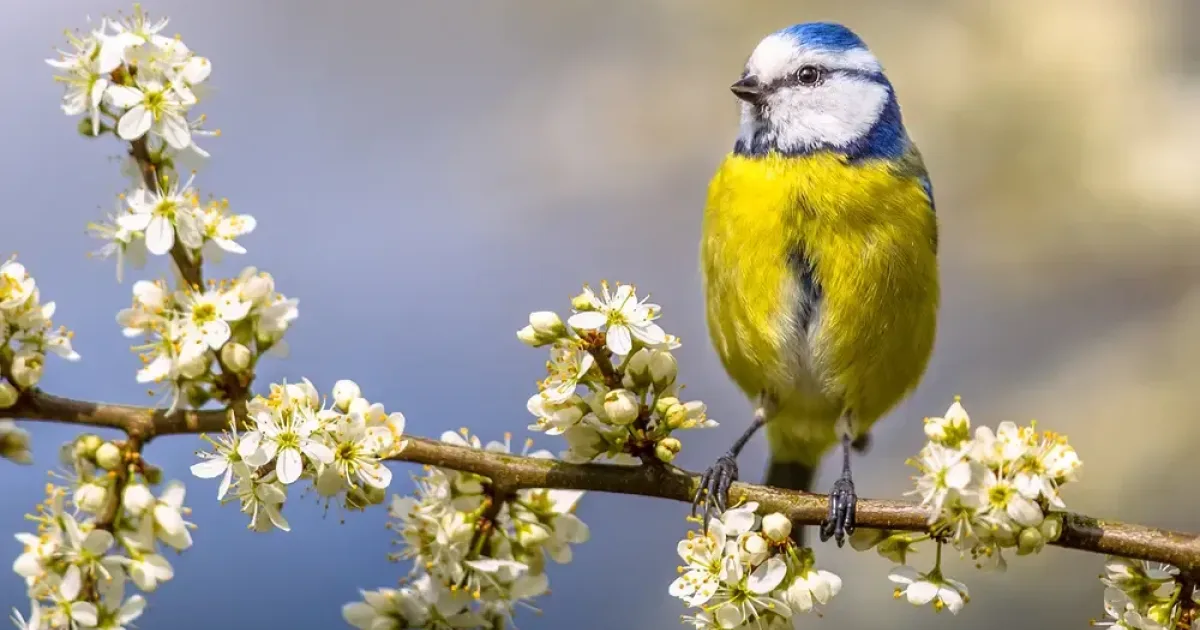 March Wildlife Spectacles: Top Photography… | Natures Nomads